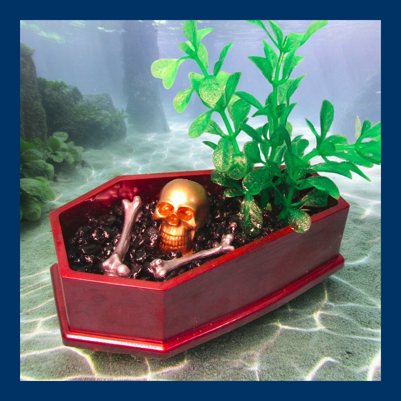 Fish Tank Decor - Etsy