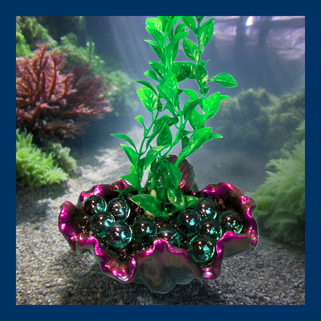 Jumbo Scalloped Shell Aquarium Decoration. Purple With Blue Glass ...