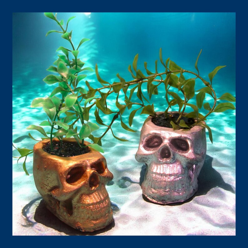 Large Zombie Skull Aquarium Decoration With Tall Artificial Plant ...