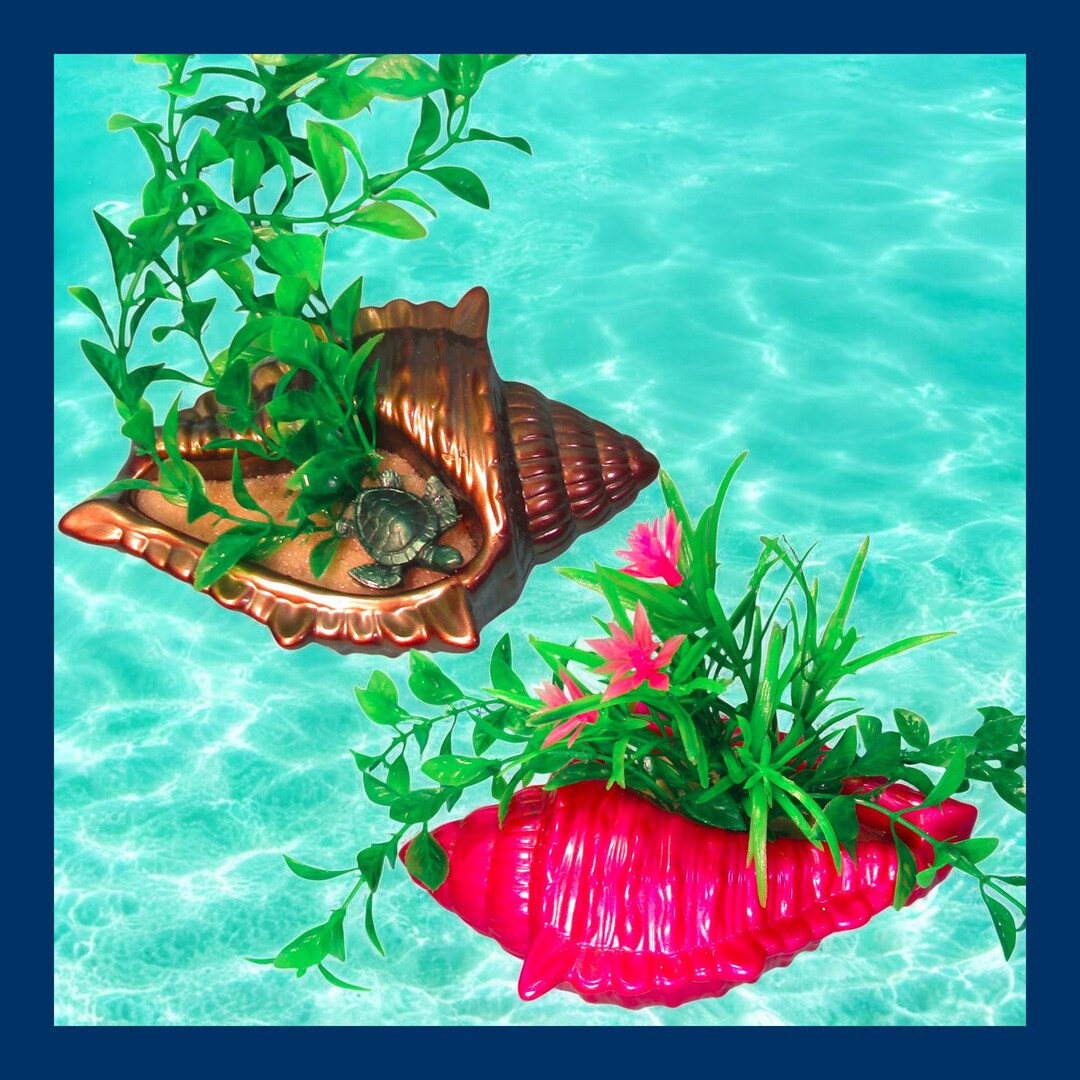 Jumbo Conch Shell Aquarium Decoration. Color & Plant Style Choice ...