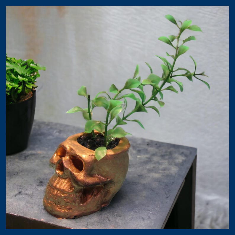 Large Zombie Skull Aquarium Decoration With Tall Artificial Plant ...