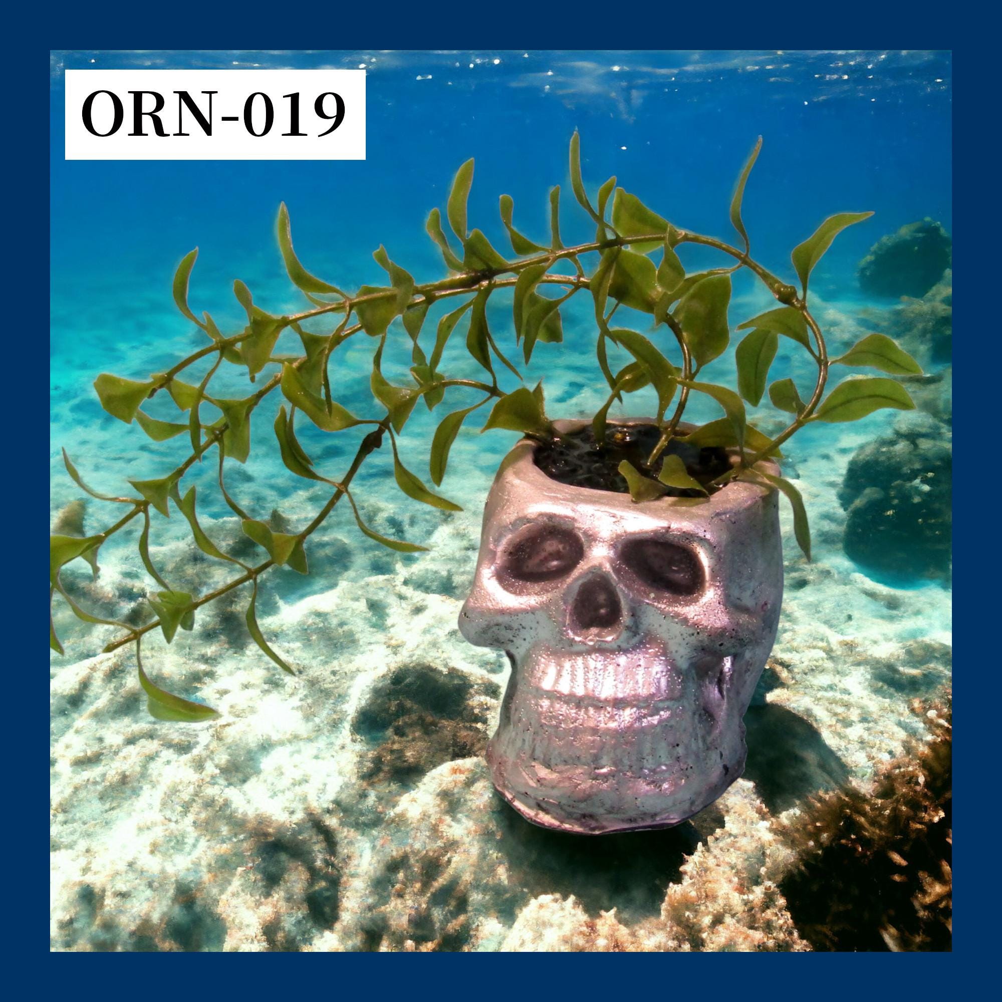 Large Zombie Skull Aquarium Decoration With Tall Artificial Plant ...