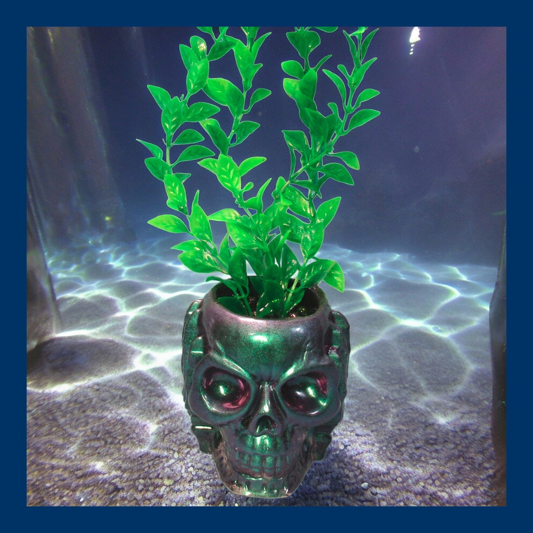 Large Skull Aquarium Decoration. Peacock With Tall Artificial Plant ...