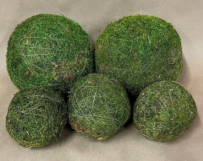 Lot of 5 Moss Balls/6" and 4" Preserved Moss Balls/floral Supplies/moss ...