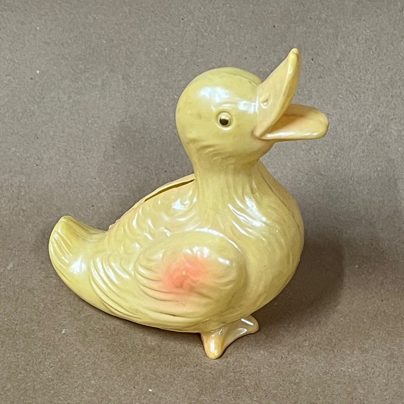 Duck Bank - Etsy