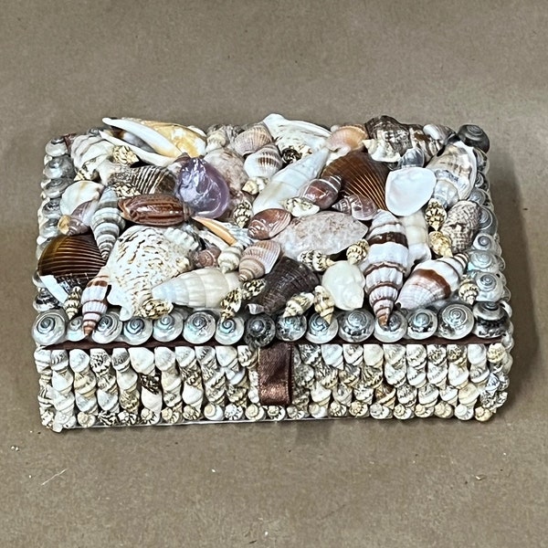 Shell Box - Etsy