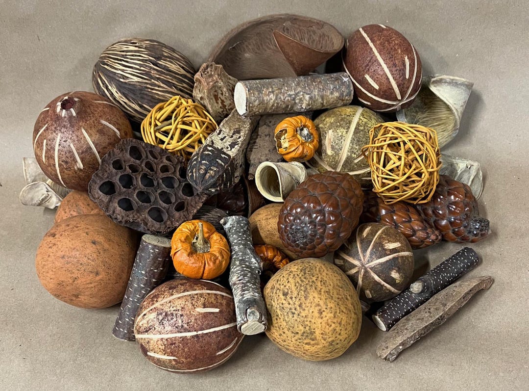 Lot of Natural Pods, Seeds and Sticks/bowl Filler/natural Materials ...