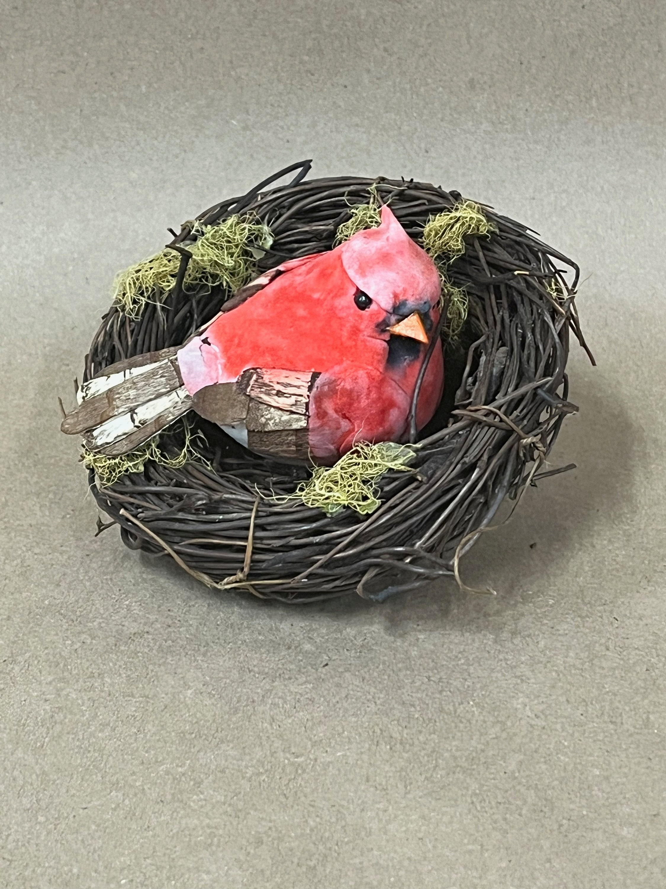 Cardinal Bird Nest