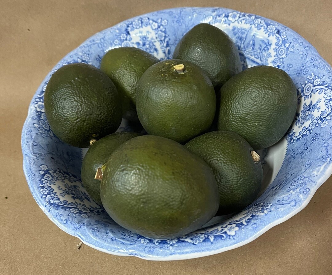 Set of 12 Faux Limes for Bowl Filler/kitchen Props/fruit Bowls/craft ...