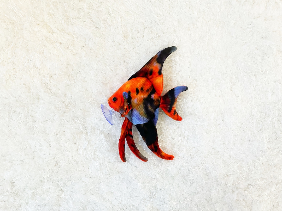 Sunset Angel Fish Plush by Greenpleco - Etsy