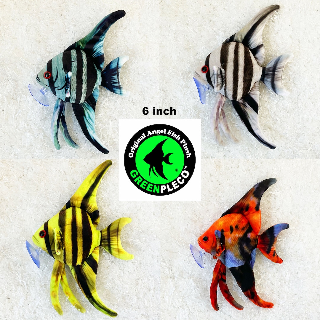 Angel Fish Plushie Collection by Greenpleco - Etsy
