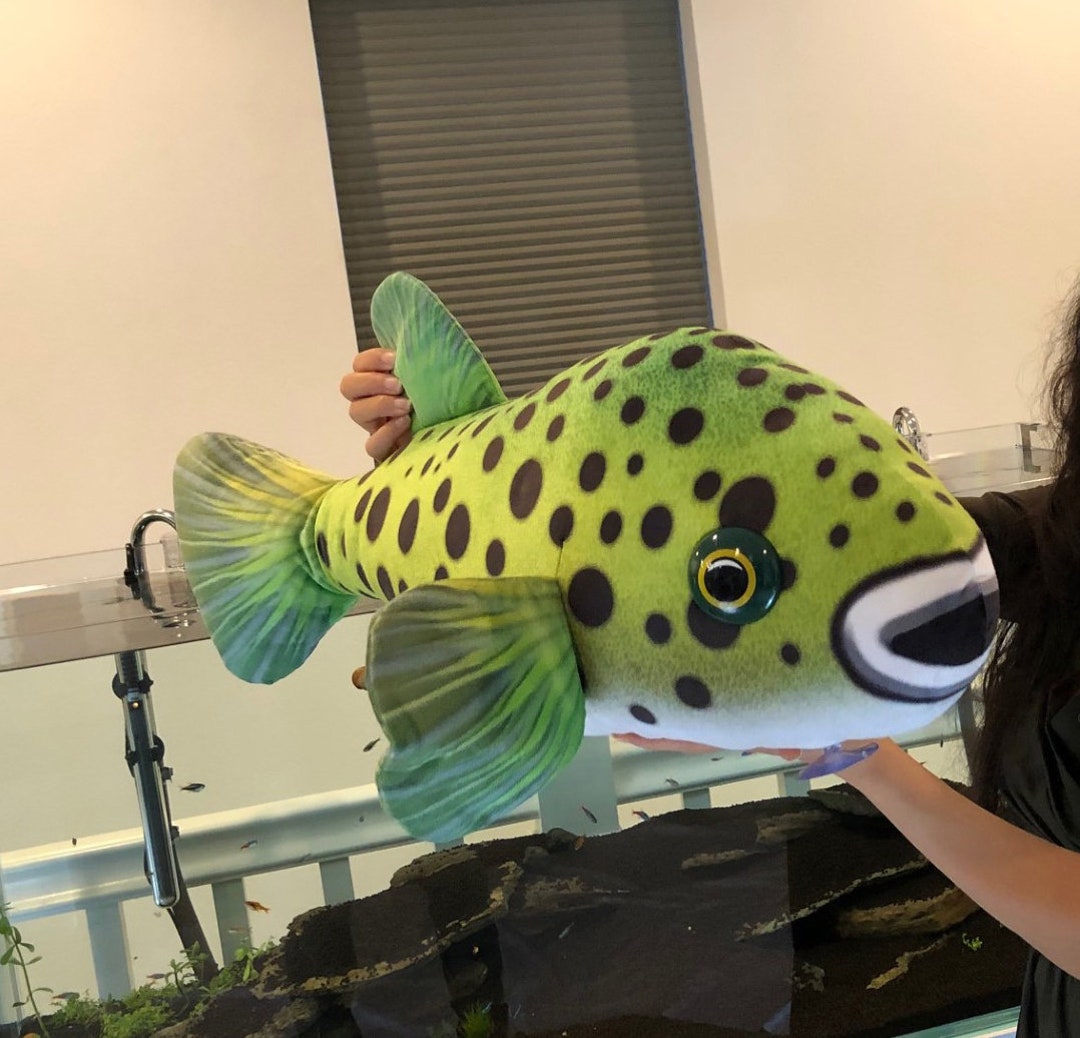 JUMBO Puffer Fish Plush Toy ( 26 Inches ) PB5 - Etsy