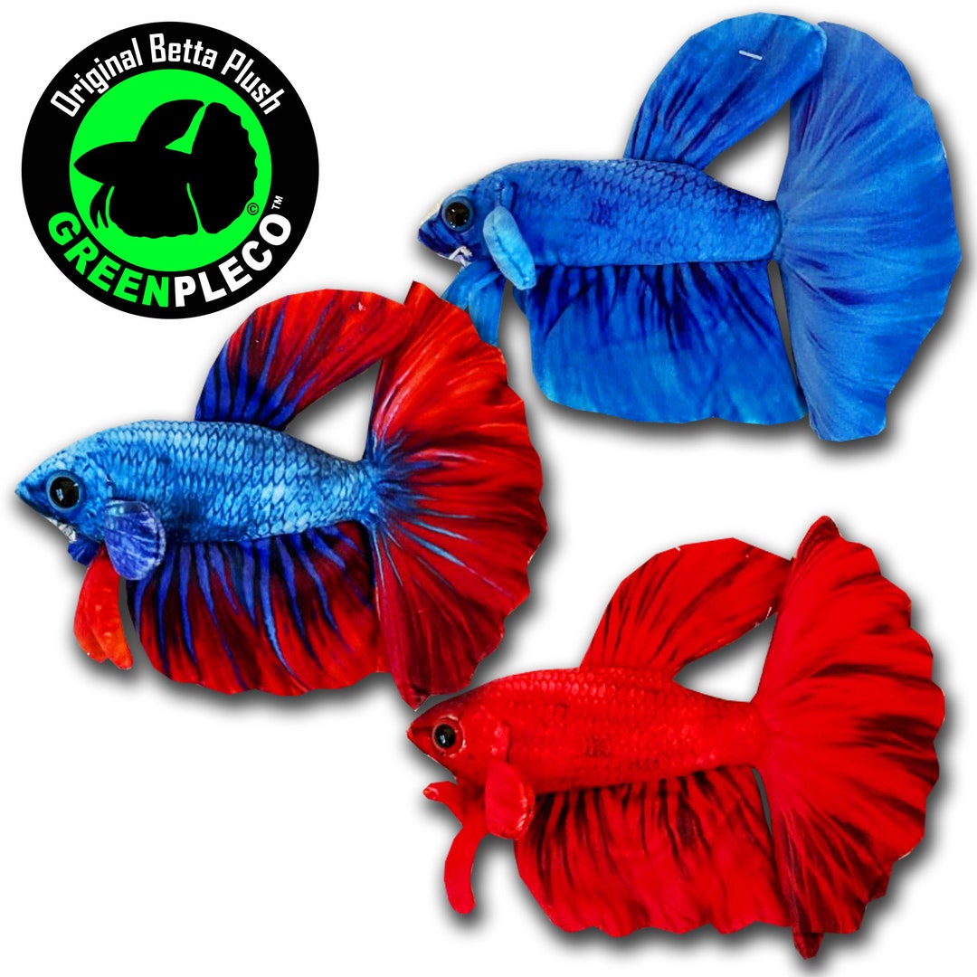 Hot & Cold Betta Trio Collection Set ( Approximately 8 Inch ) - Etsy