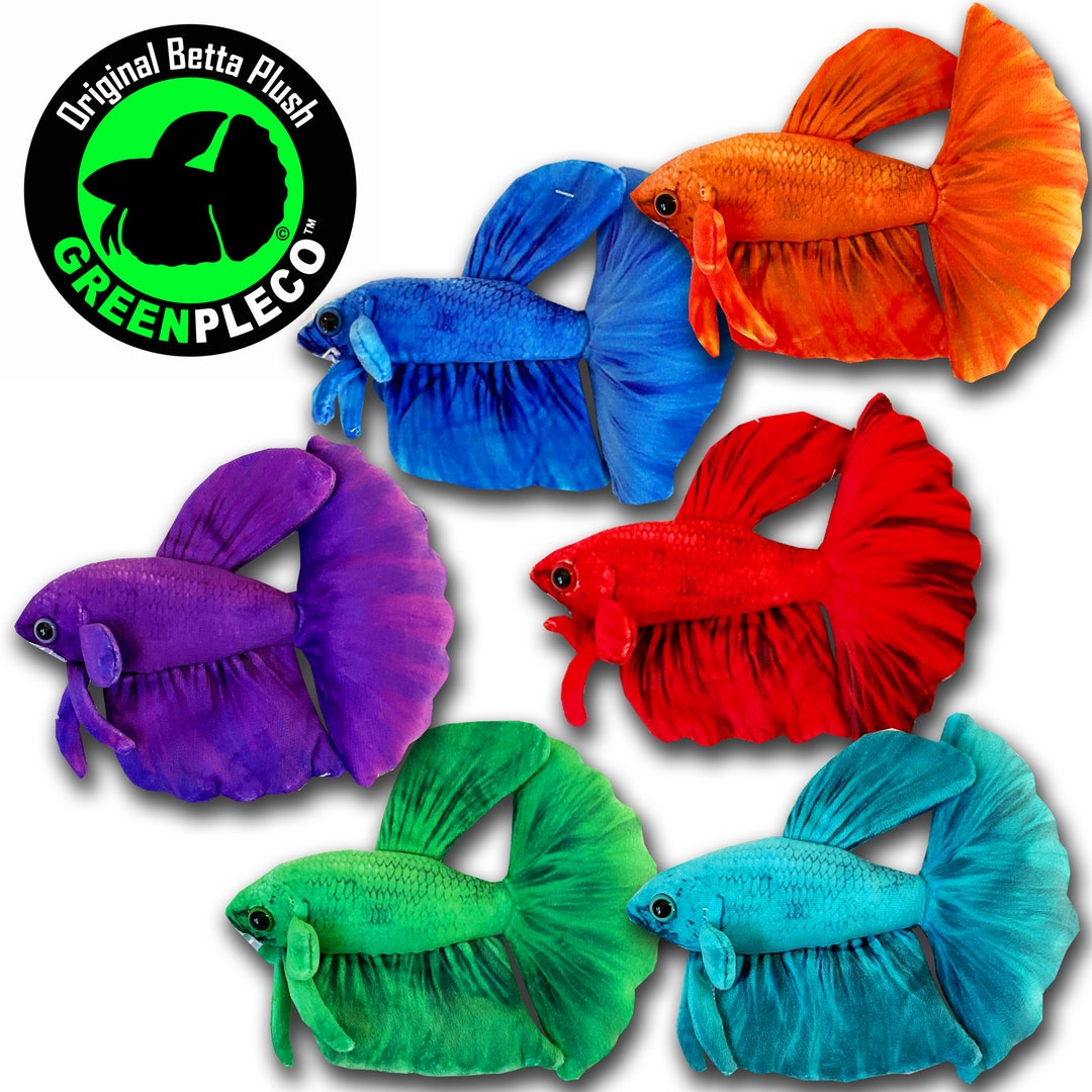 Solid Color Betta Collection Set Approximately 8 Inch - Etsy