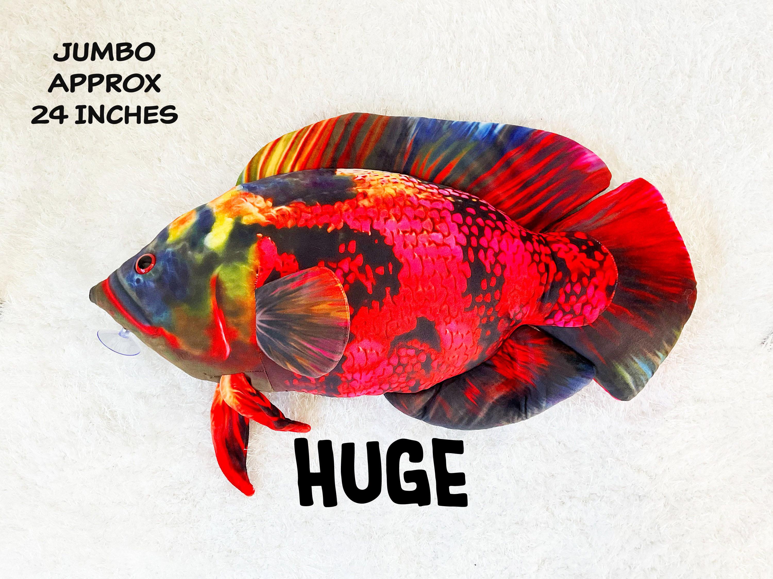 Red Oscar Fish RED OSCAR