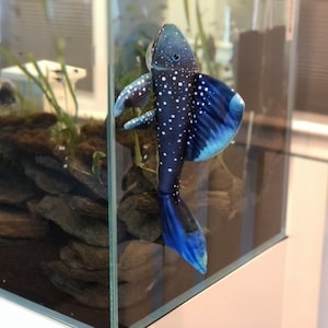 BLUE Phantom Pleco Plush - Etsy