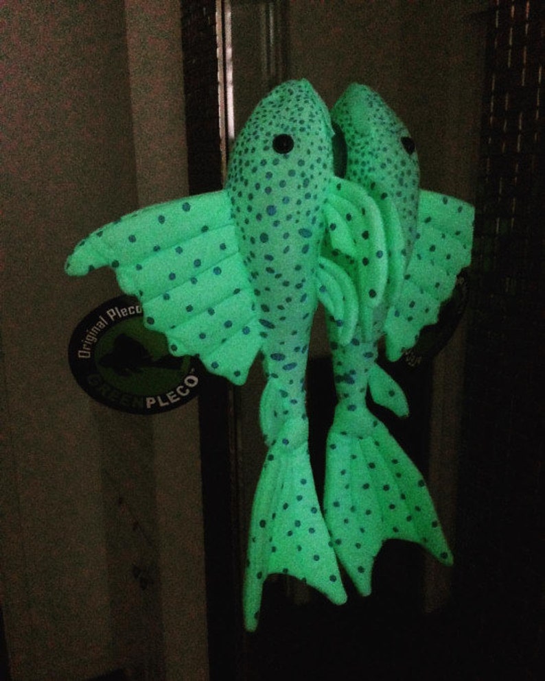 GLOWS IN DARK Plecostomus Plush Plushie Toy Sucker Fish Blue | Etsy