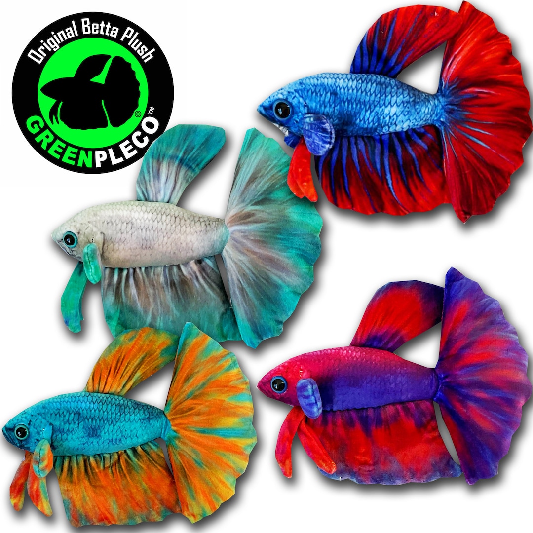 Multicolored Betta Collection Set Approximately 8 Inch - Etsy