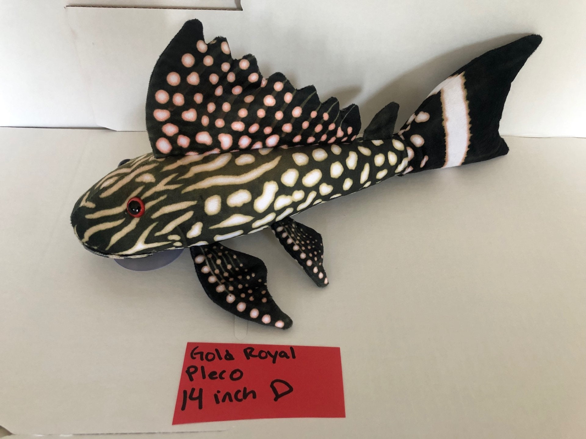 Gold Royal Pleco