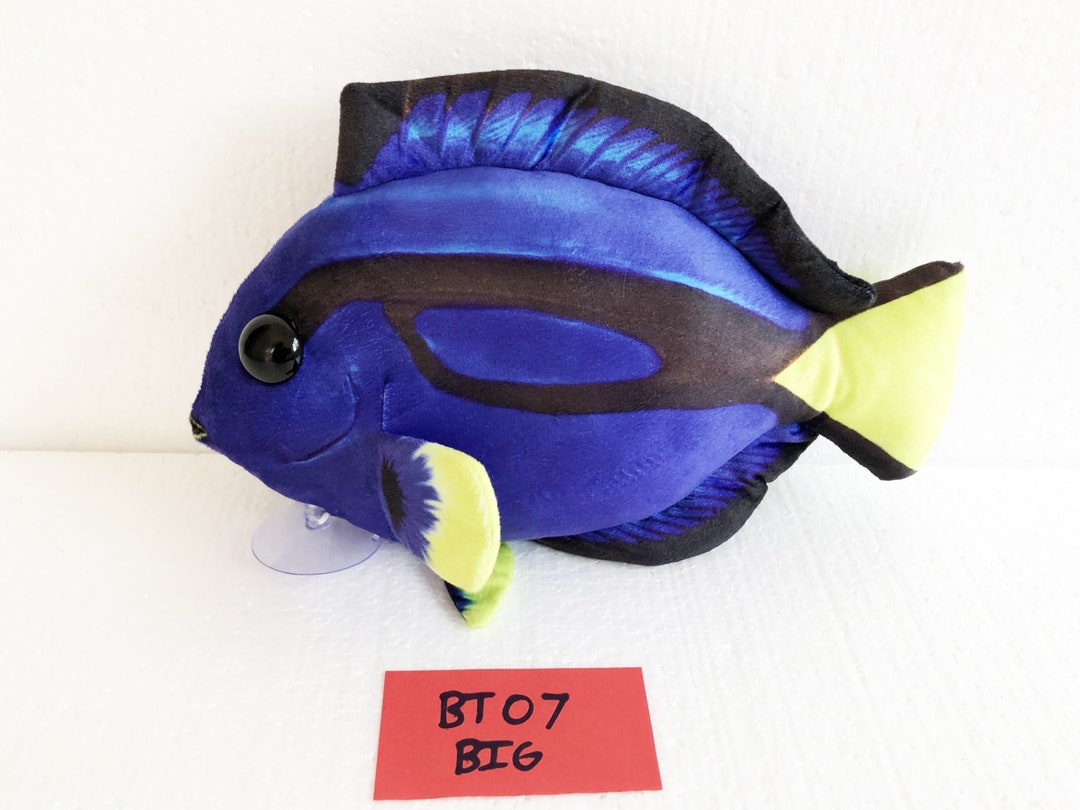 Regal Blue Tang Fish Plush approx. 12 Inch BT07 - Etsy