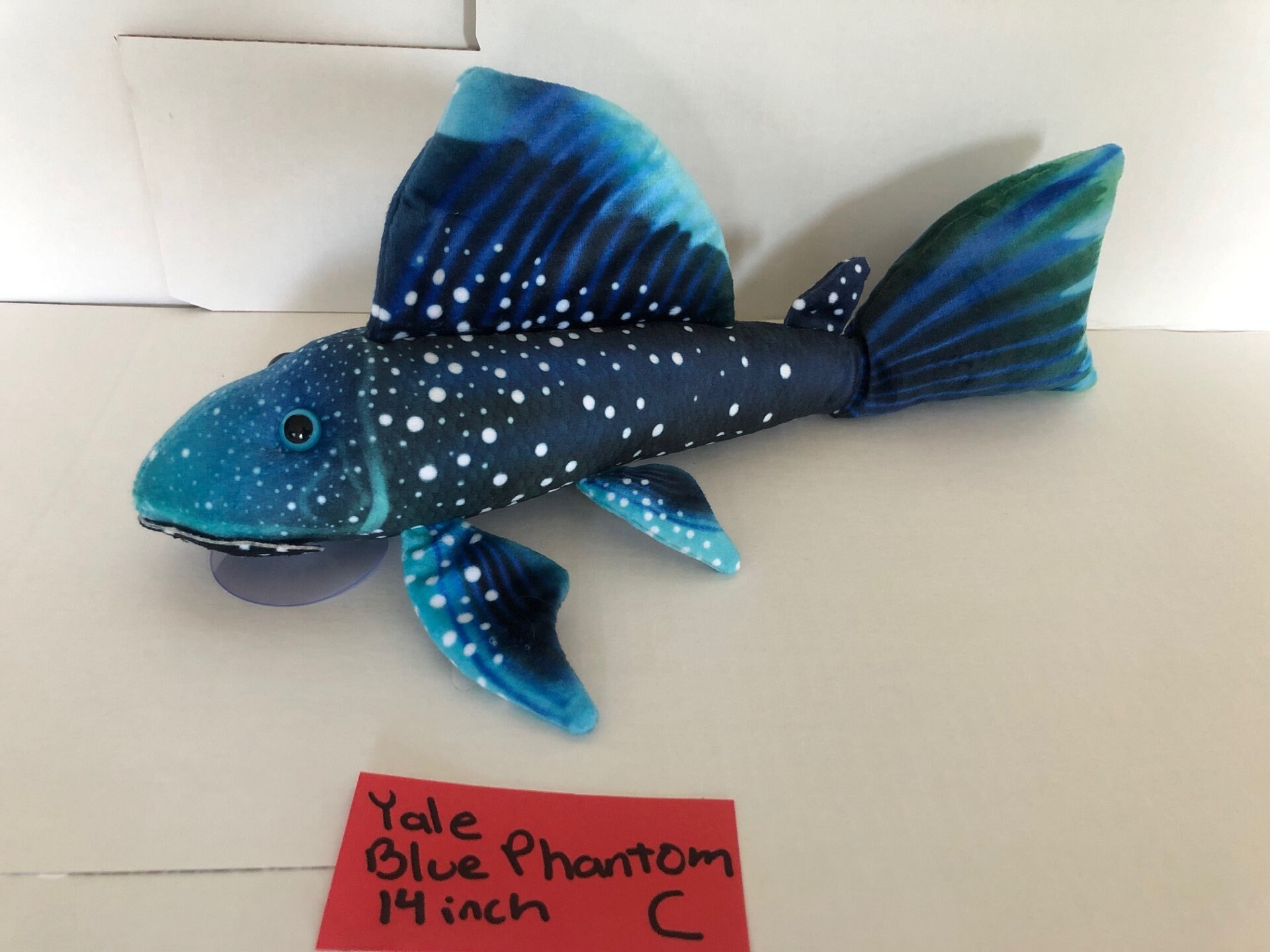 Blue Royal Pleco
