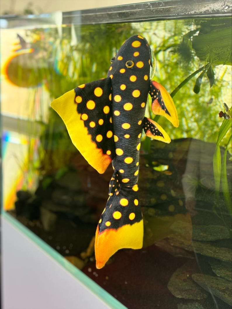 Shiny Golden Nugget Pleco Plush S1 - Etsy