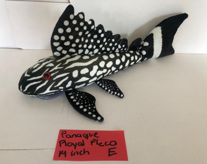 Panaque Royal Pleco Fish Plush E (14 Inch) - Etsy