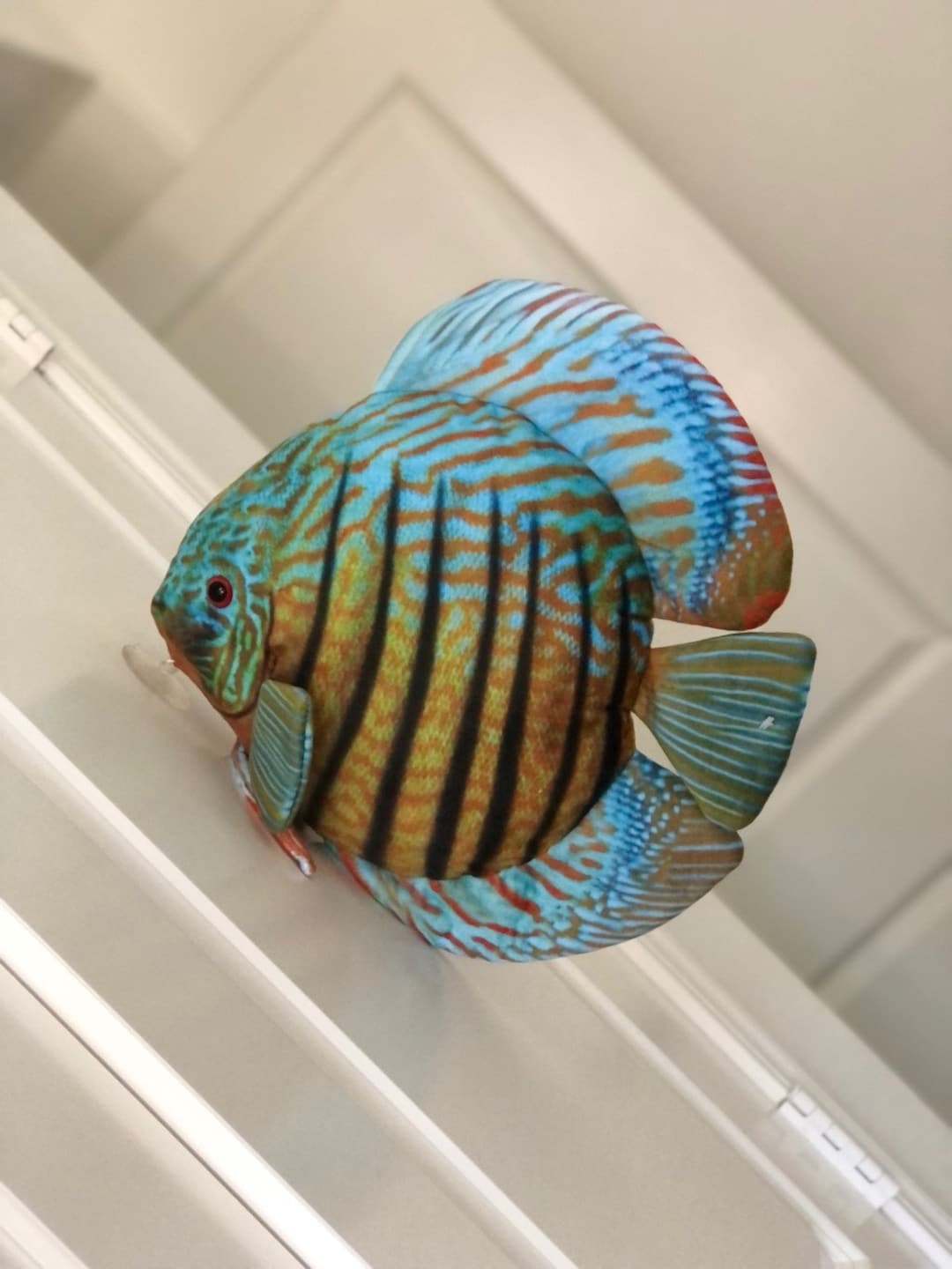 Discus Fish Plush (6 Inch) - Etsy