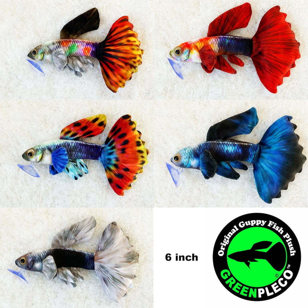Fancy Guppy Plushie Collection by Greenpleco - Etsy