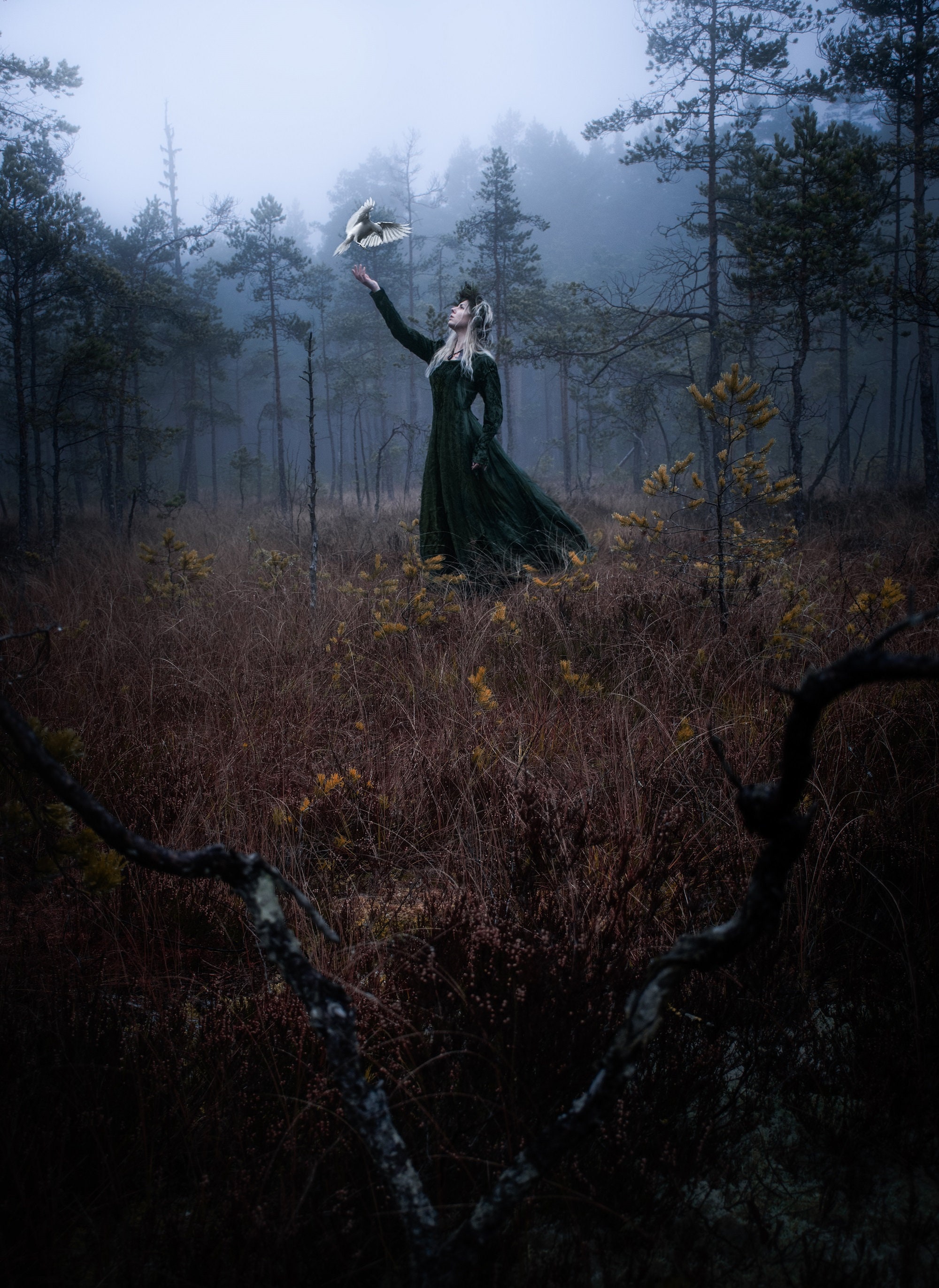 Queen of Nature - Etsy