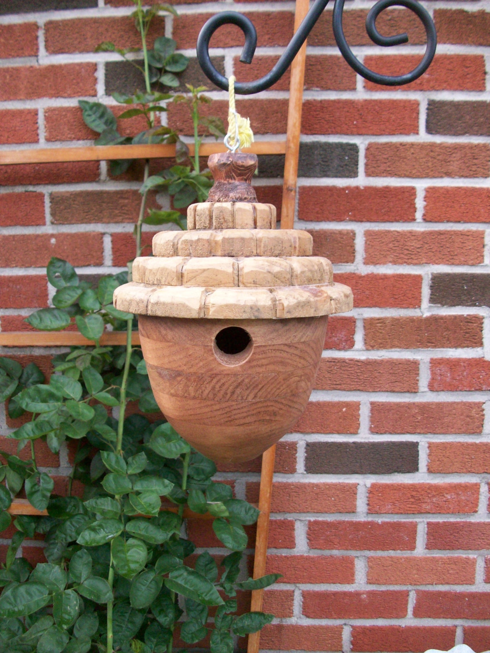 Rustic Adirondack Carved Acorn Bird House - Etsy