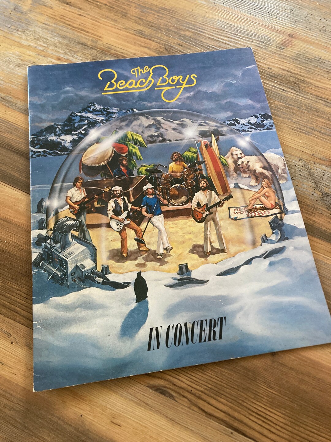 The Beach Boys in Concert 1980 Promotional/concert Book Art by John ...