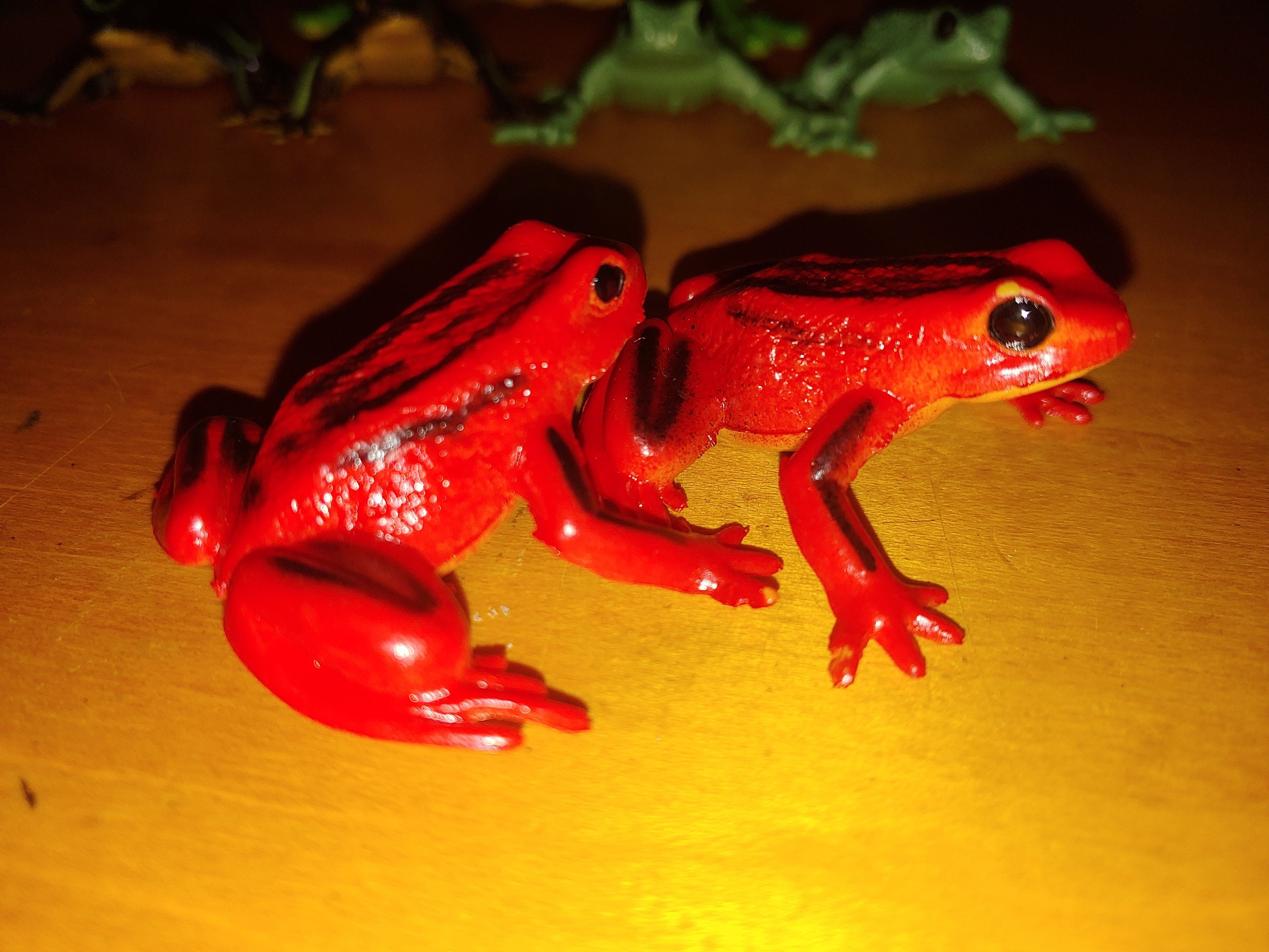 Vintage 1994 T.M. Hard Rubber Tree Frog rare & 6 Wn-poison Frogs 2 Wn ...