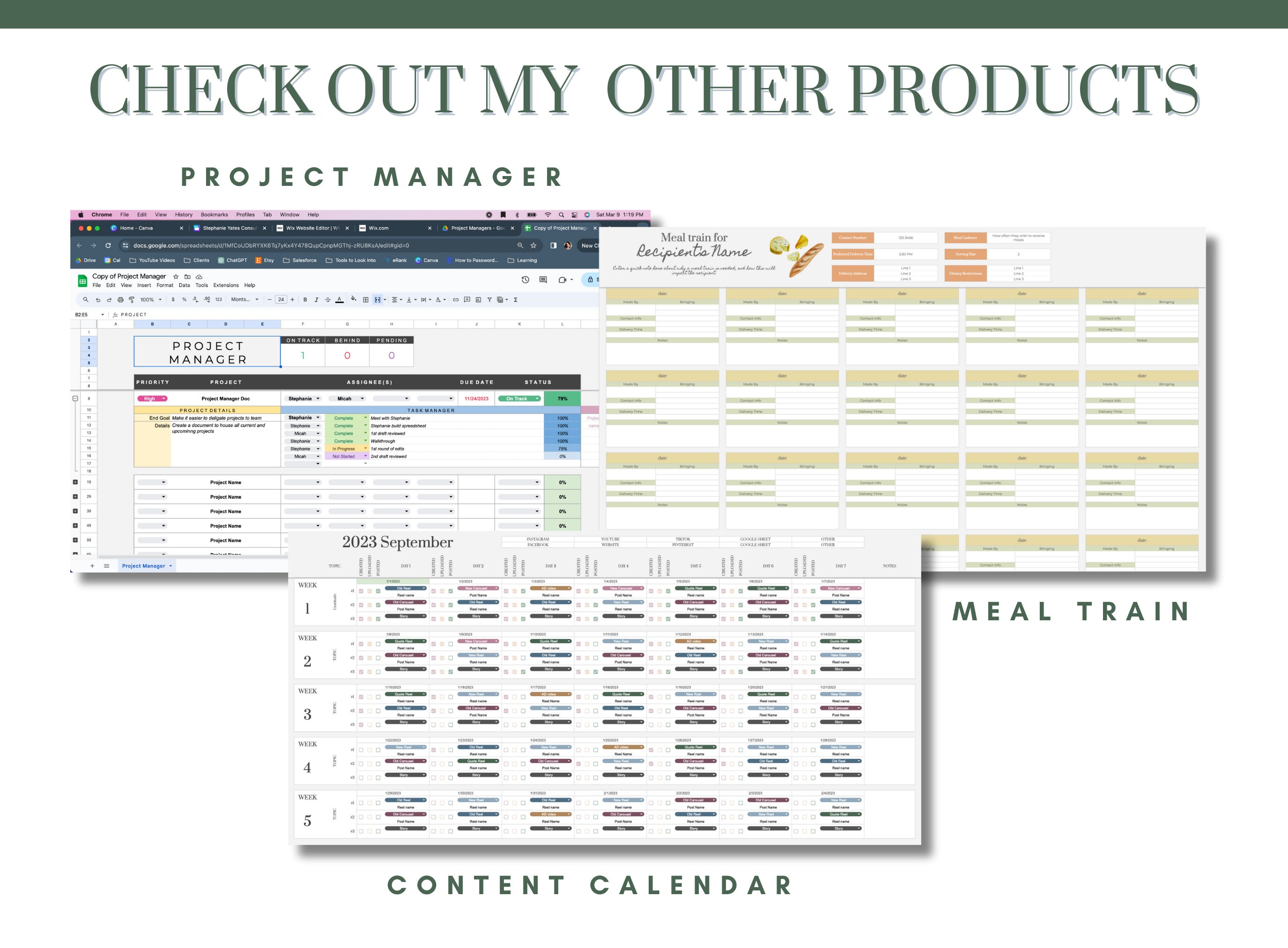 Digital File Organizer Template Naming Convention, Color Coding ...