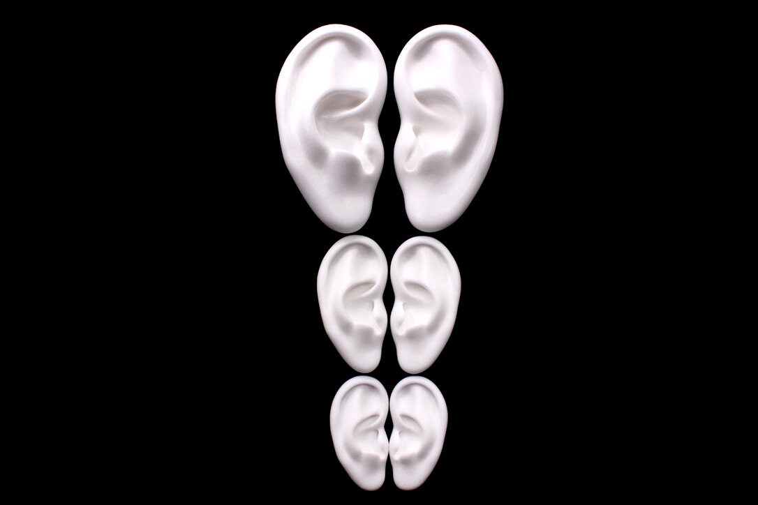 Novelty Grand 5 inch Tall Wall Mounted Ear Display Pair | Etsy