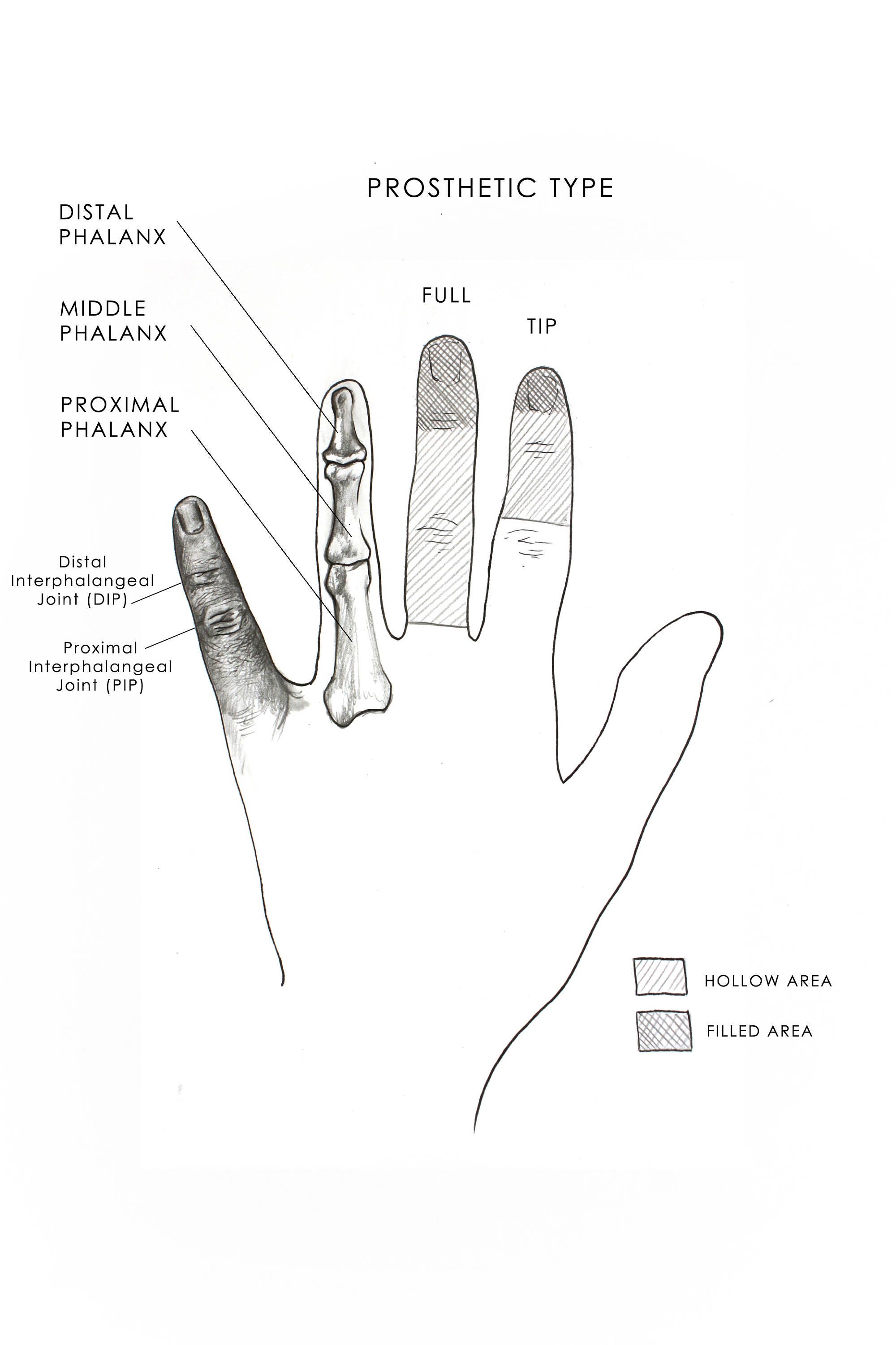 Male Alexander Model- Basic FULL Length Fingertip Extension in Soft ...