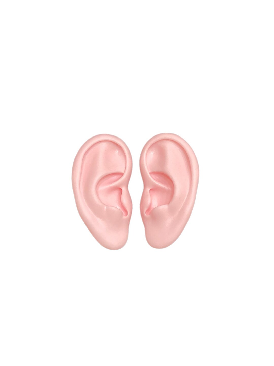 Wall Mounted Earring Display Pair of Flexible Silicone Rubber Ears in ...