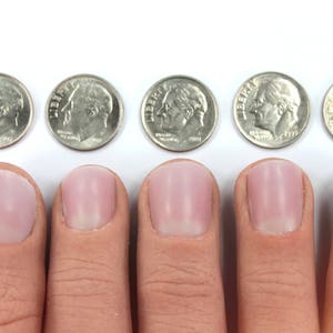 Two-tone Male Fingertip Extension in Soft Silicone, Partially Hollow ...