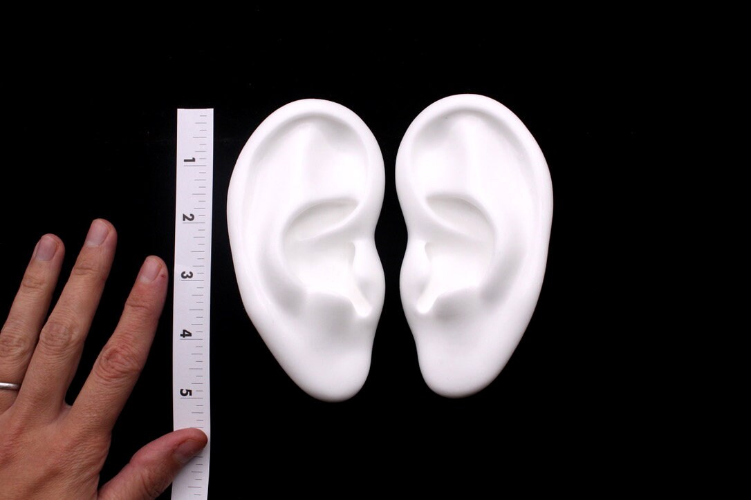 Novelty Grand 5 inch Tall Wall Mounted Ear Display Pair | Etsy