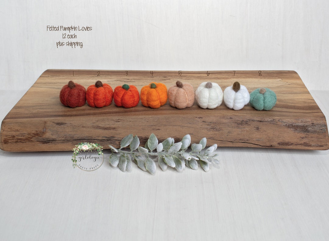 Pumpkin Felt Wool * Felt Wool Stuffie * Baby Prop * Pumpkin Stuffie ...