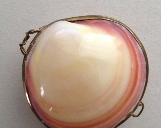 Vintage Tiger Clam Shell Trinket Box - Etsy