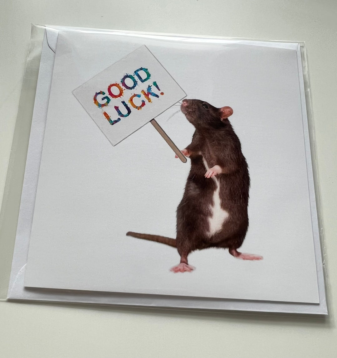Rat Themed Good Luck Card - Etsy