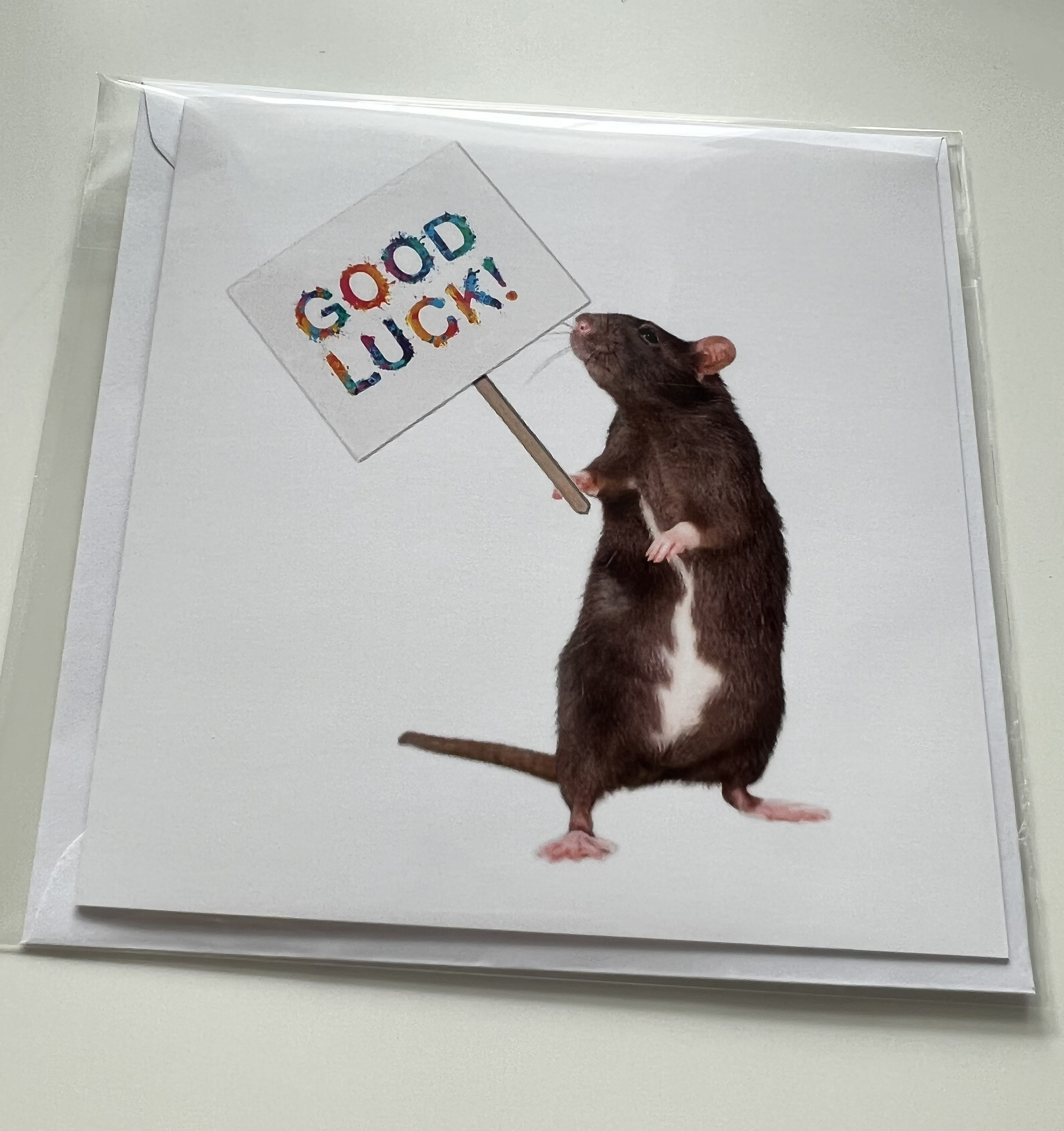 Rat Themed Good Luck Card - Etsy
