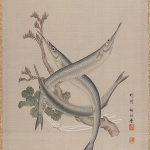 Fish Eel Unagi Blowfish Fugu Mackerel Saba Shrimp Ebi - Etsy