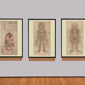 Acupuncture Chart Needle Theraphy - Etsy