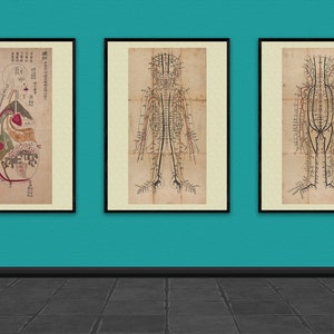 Acupuncture Chart Needle Theraphy - Etsy