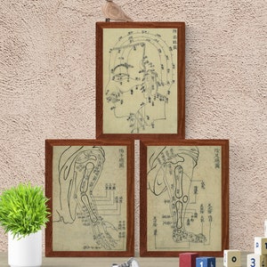 Diagram of Acupuncture Chart - Etsy