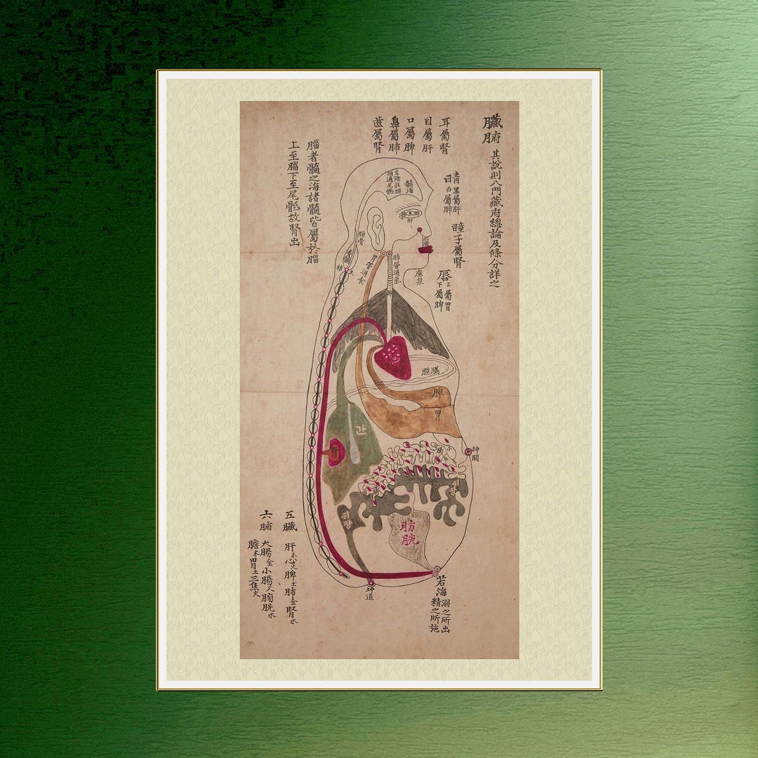 Acupuncture Chart Needle Theraphy - Etsy