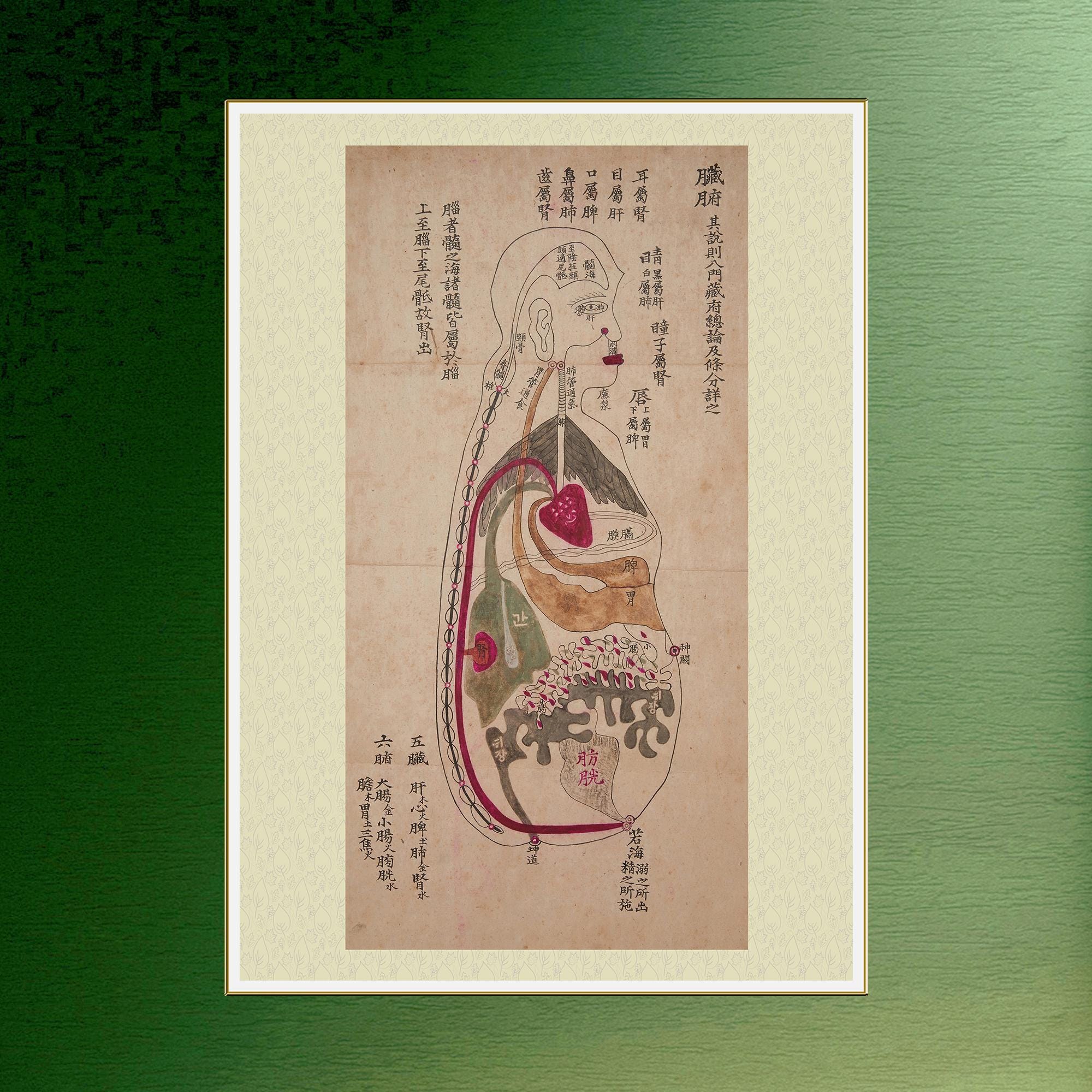 Acupuncture Chart Needle Theraphy - Etsy