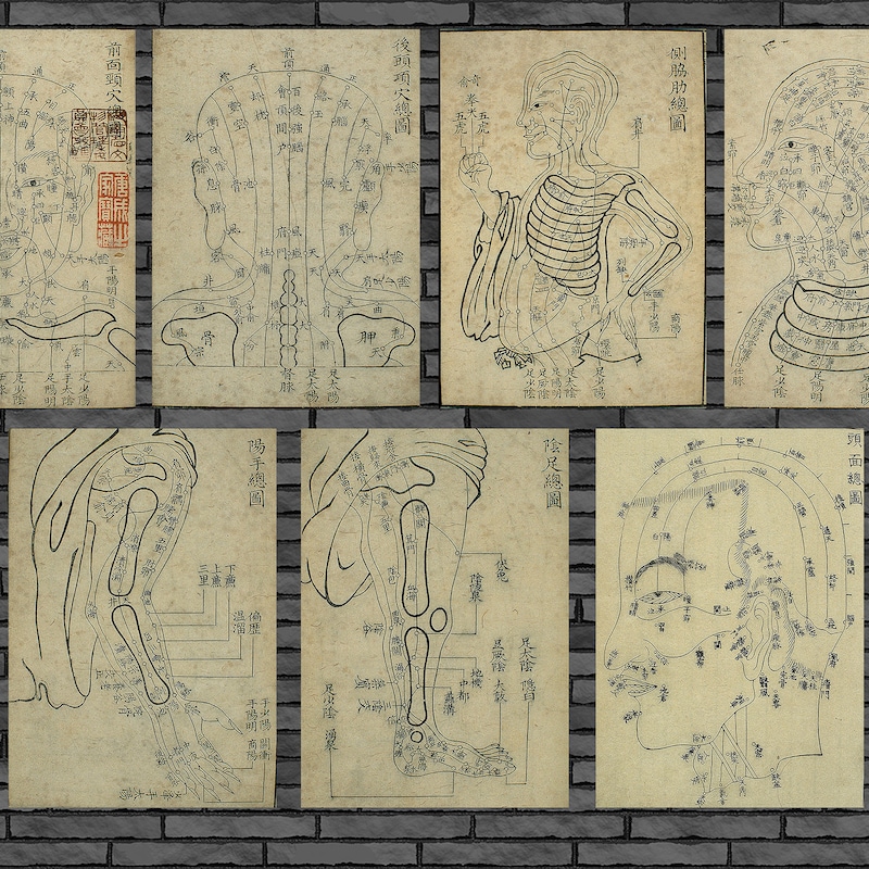 Meridian Chart - Etsy